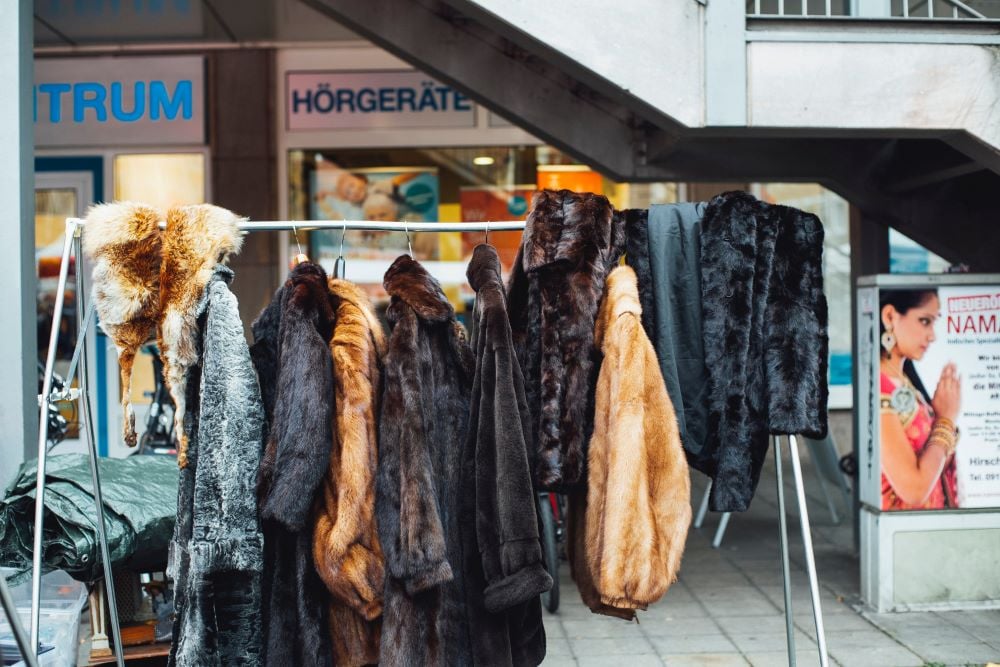 What to do with fur coats: 6 ethical solutions